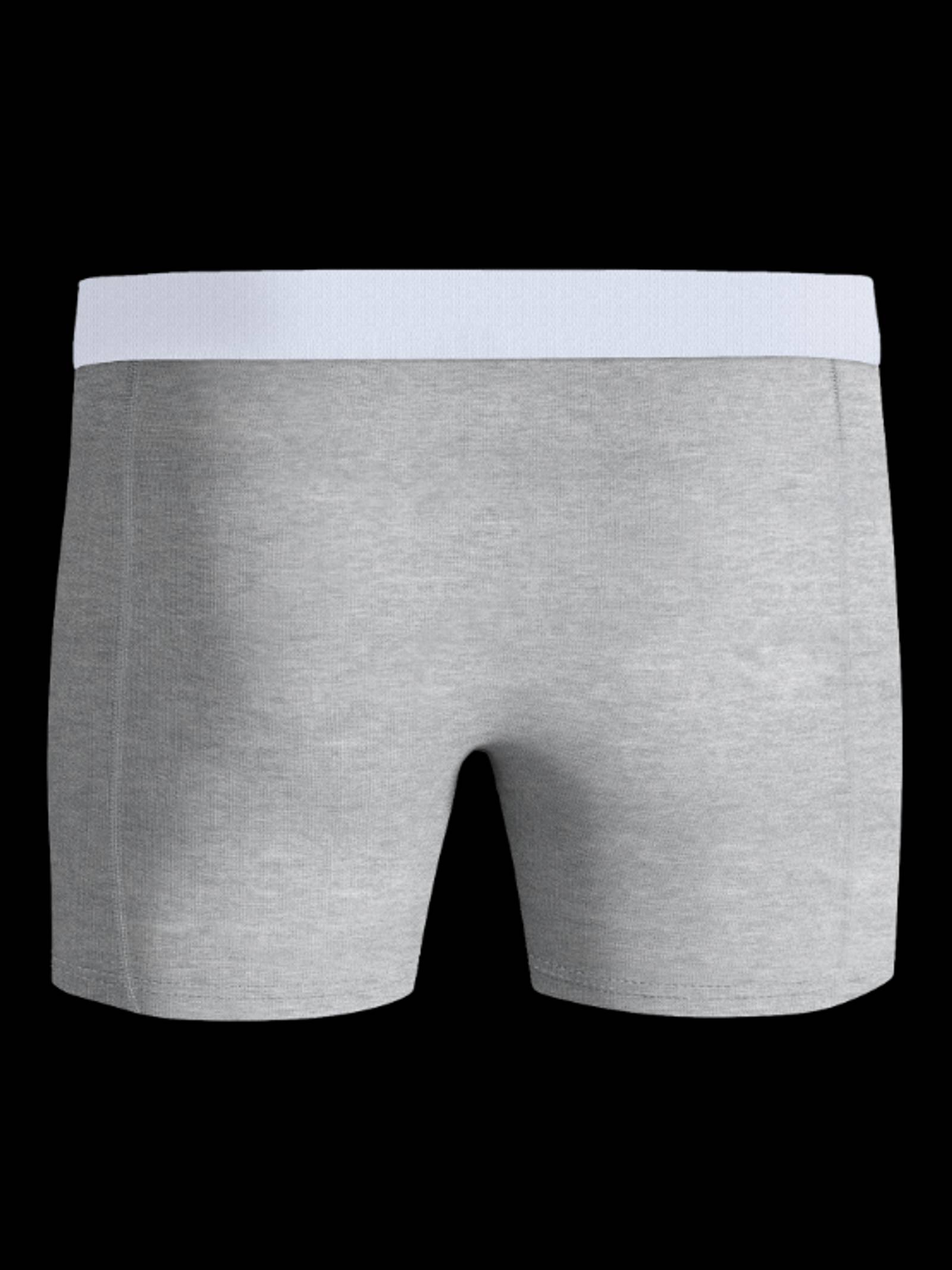 Organic Cotton Stretch Boxers 2-pack - Melange, Blue | Björn Borg